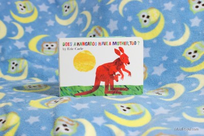 Does a Kangaroo Have a Mother, Too? – MostRoyal.com